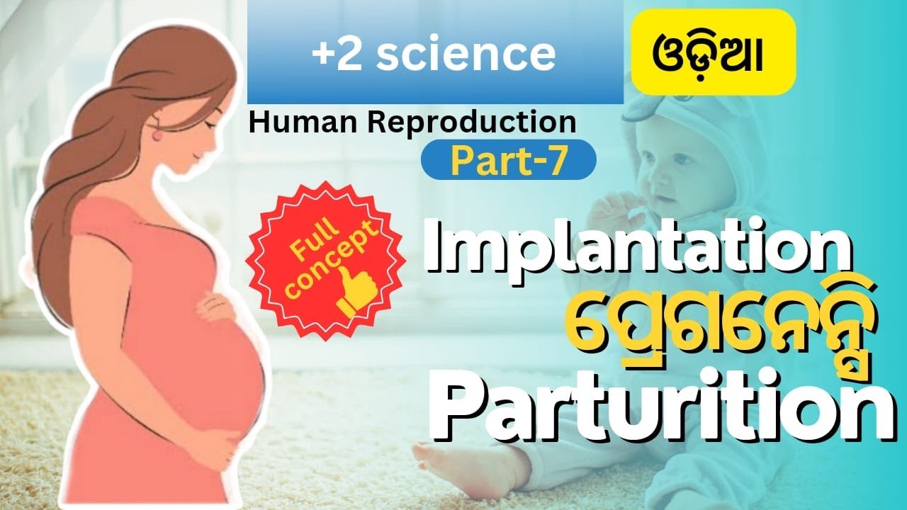 PREGNANCY | IMPLANTATION | PARTURITION |Embryonic development| Human ...