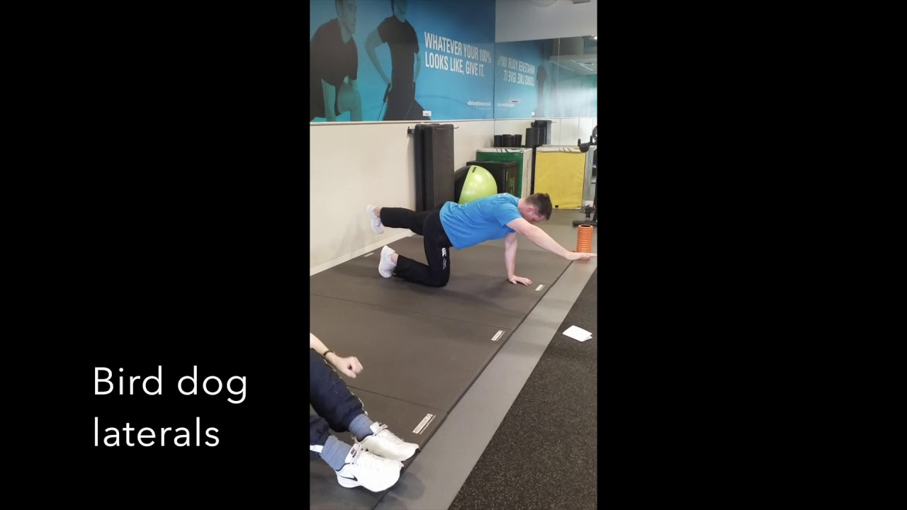Bird dog laterals - YouTube