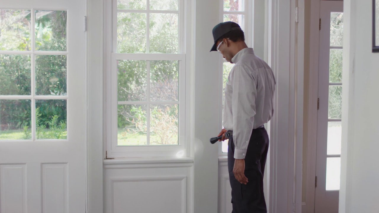 Our Termite Inspection Process: What to Expect with Terminix - YouTube