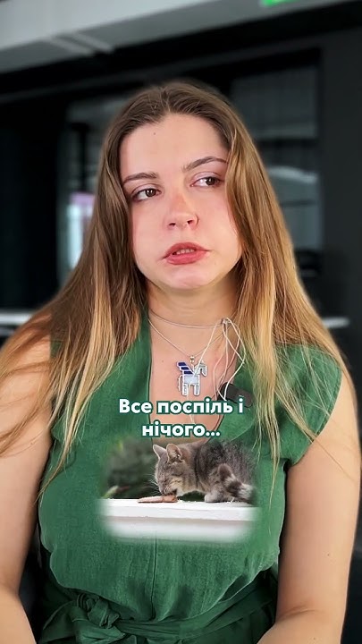 Міфи про котів Optimeal домашніулюбленці оптіміл тварини коти кіт кішка Youtube