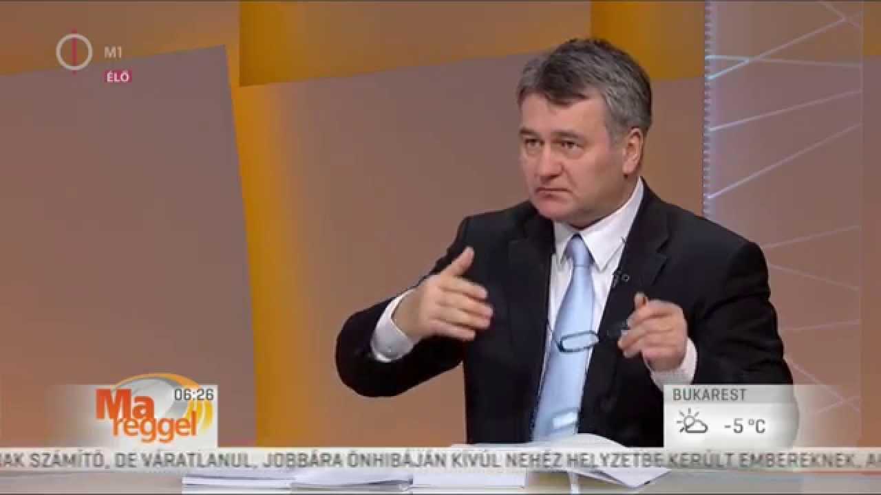 Megjelent a devizahitelezés nagy kézikönyve. Lentner Csaba a MTV Ma ...