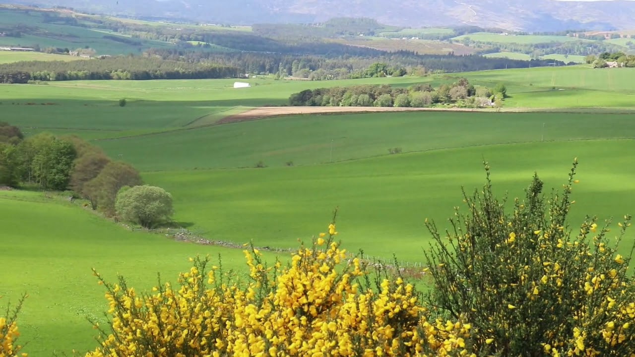THE HOWE O' CROMAR (Peter Milne ) PAUL ANDERSON - YouTube