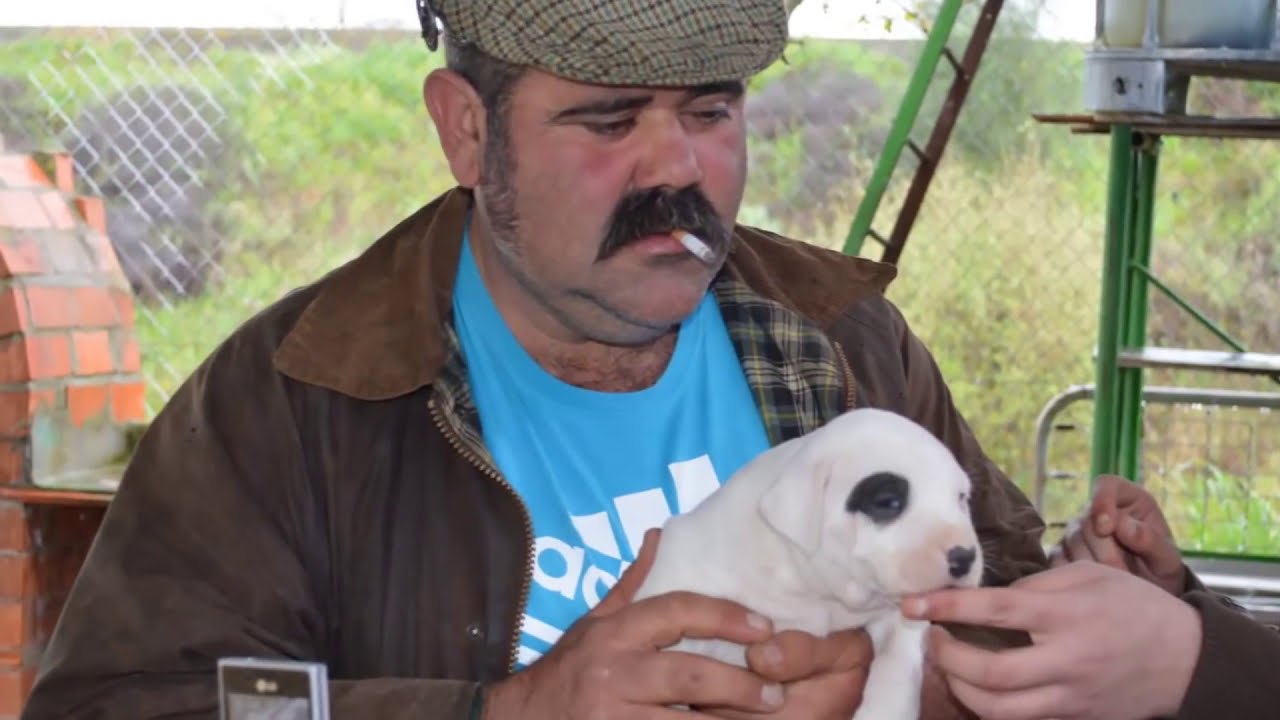 Recovas el Palomar - YouTube