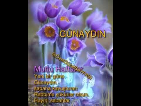 Mutlu Haftalar Günaydın
