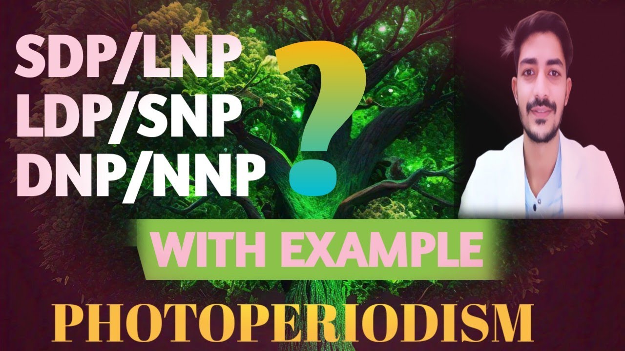 Photoperiodism in Plants: Understanding Day Length & Its Effects | NEET ...