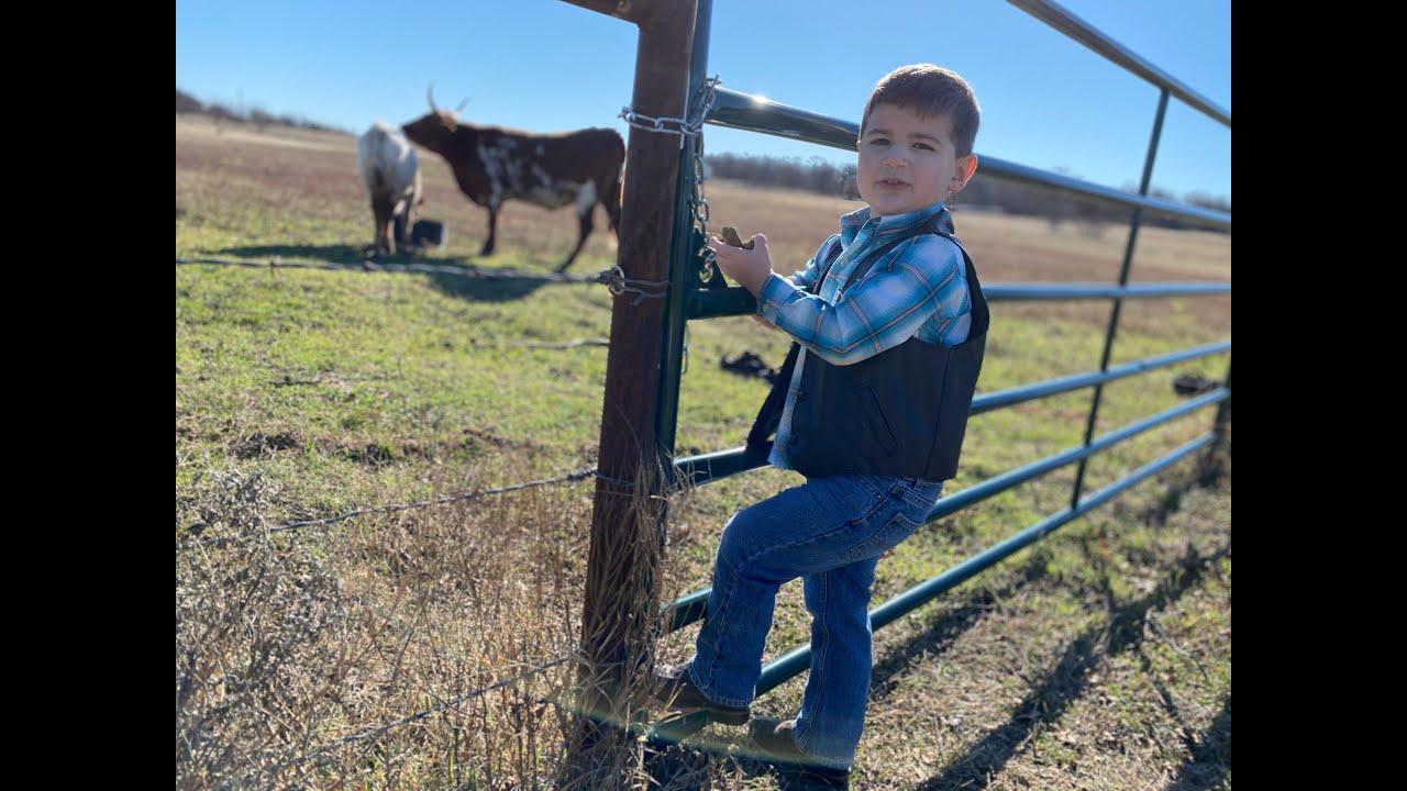 Ranch hand Ryder feeding the Livestock - YouTube