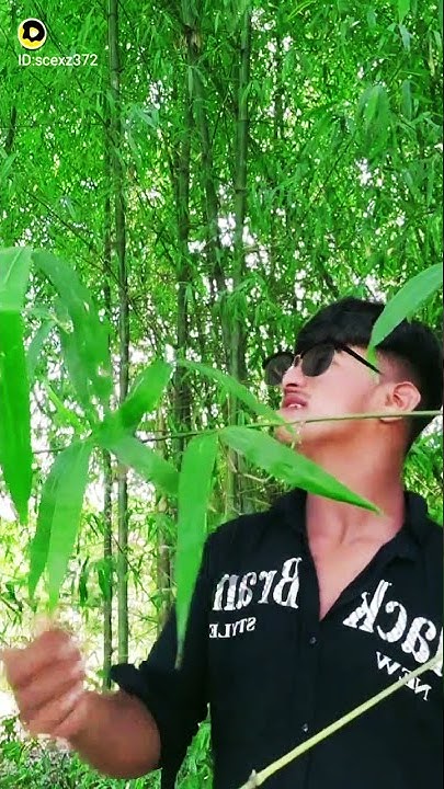 B d sakib vai 72midiya - YouTube