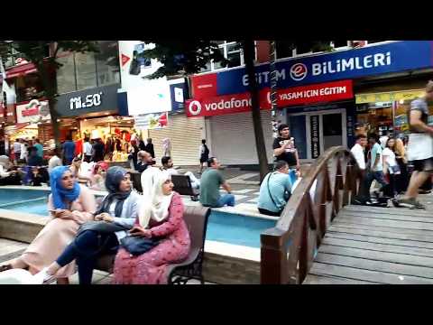 TÜRKİYE'DE TERS TAKLA İLE İNSANLARIN TEPKİSİNİ ÖLÇME (İSTANBUL)