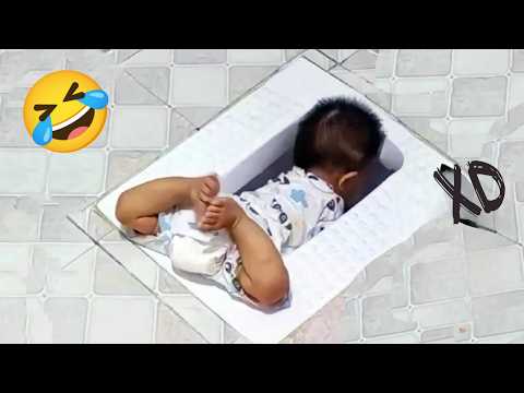 SI TE RÍES PIERDES 😂😆 TOP 100 VIDEOS MÁS GRACIOSOS Y MEMES DE TODOS LOS TIEMPOS #47