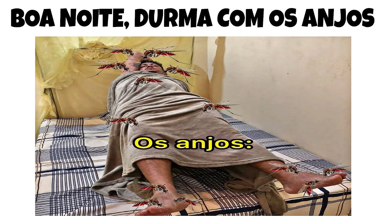 30 MINUTOS!! MEMES EM IMAGENS ENGRAÇADOS - Durma com os anjos kkk 😂 ...