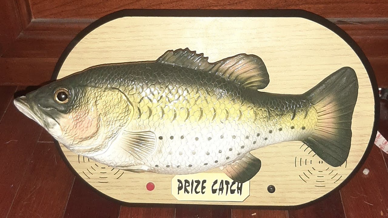 Marty the Singing Fish (Prize Catch) - YouTube