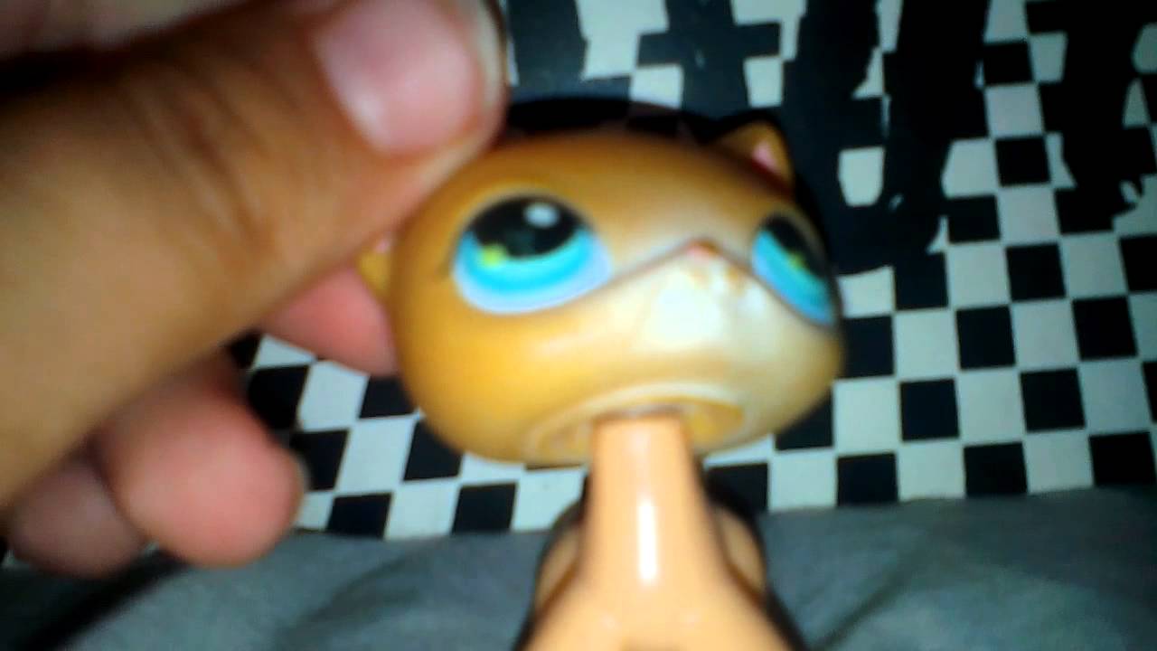 Ma petite présentation - YouTube