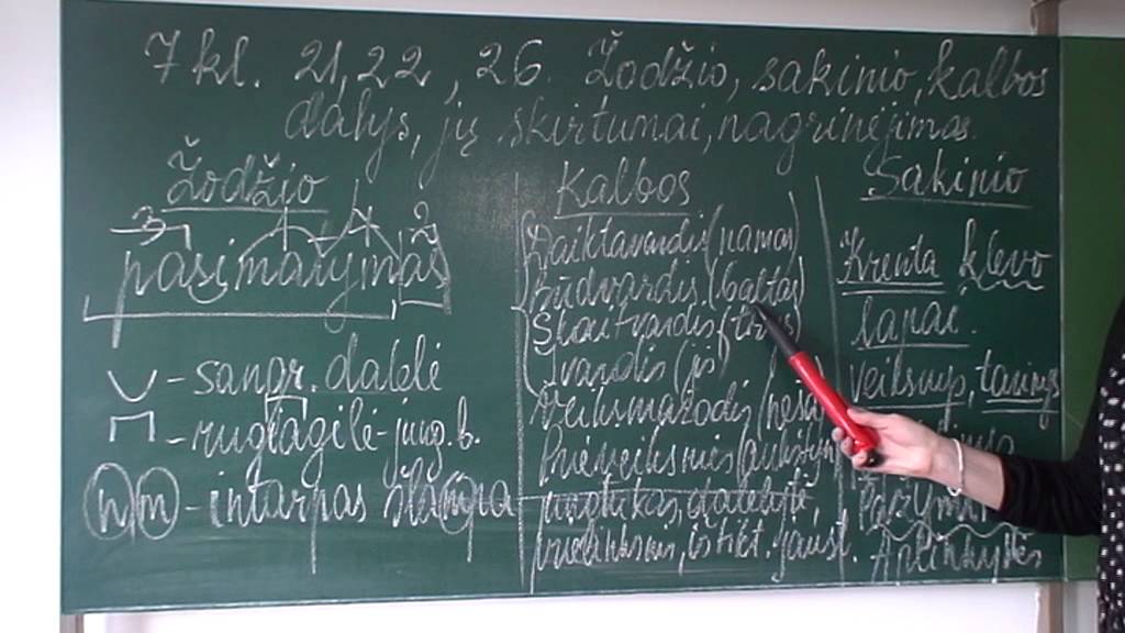 21, 22, 26 Kuo skiriasi žodžio, kalbos, sakinio dalys - YouTube
