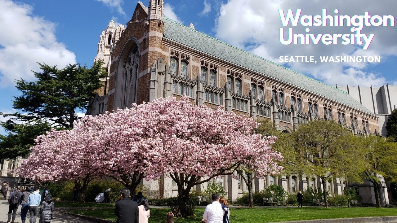 Visit to Washington University | Wonderful Campus in Seattle ...