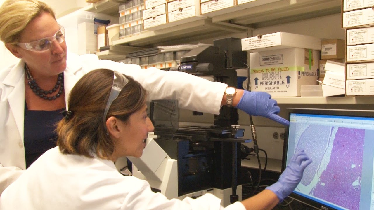 Scripps Florida: Working Toward Better Health - YouTube