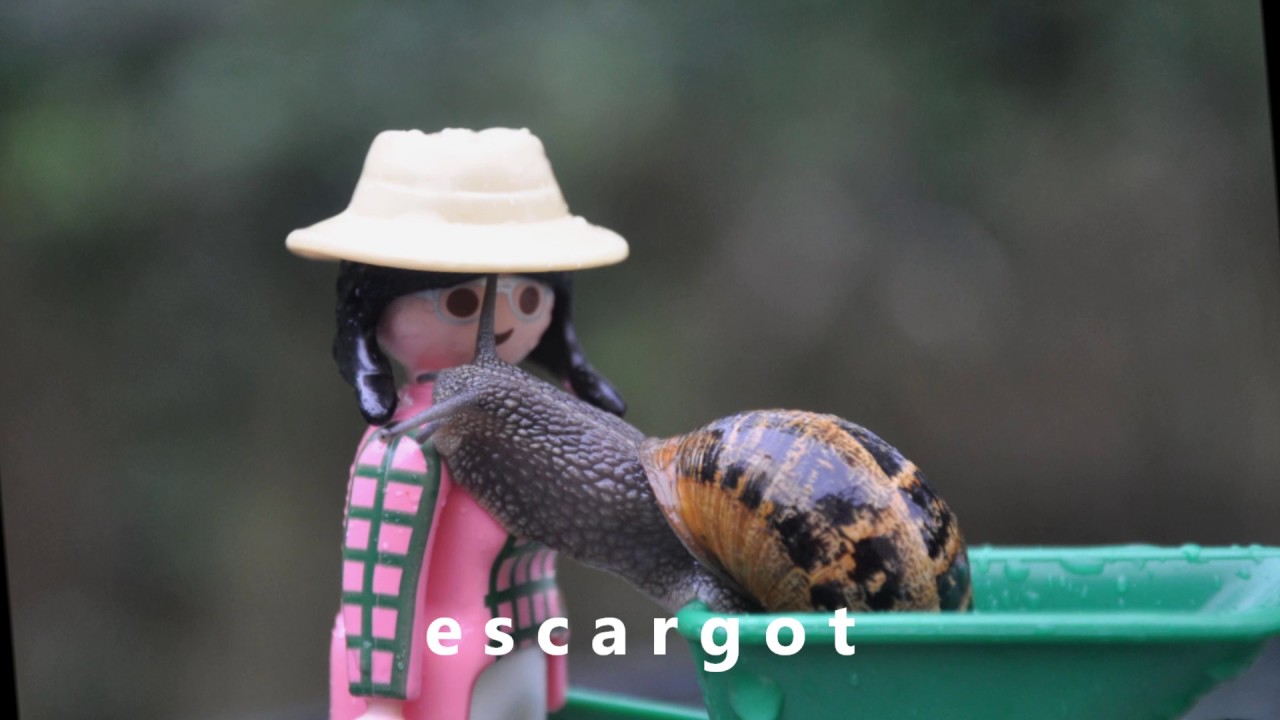 Comptine Petit Escargot avec Playmobil® - Bed song snail - YouTube