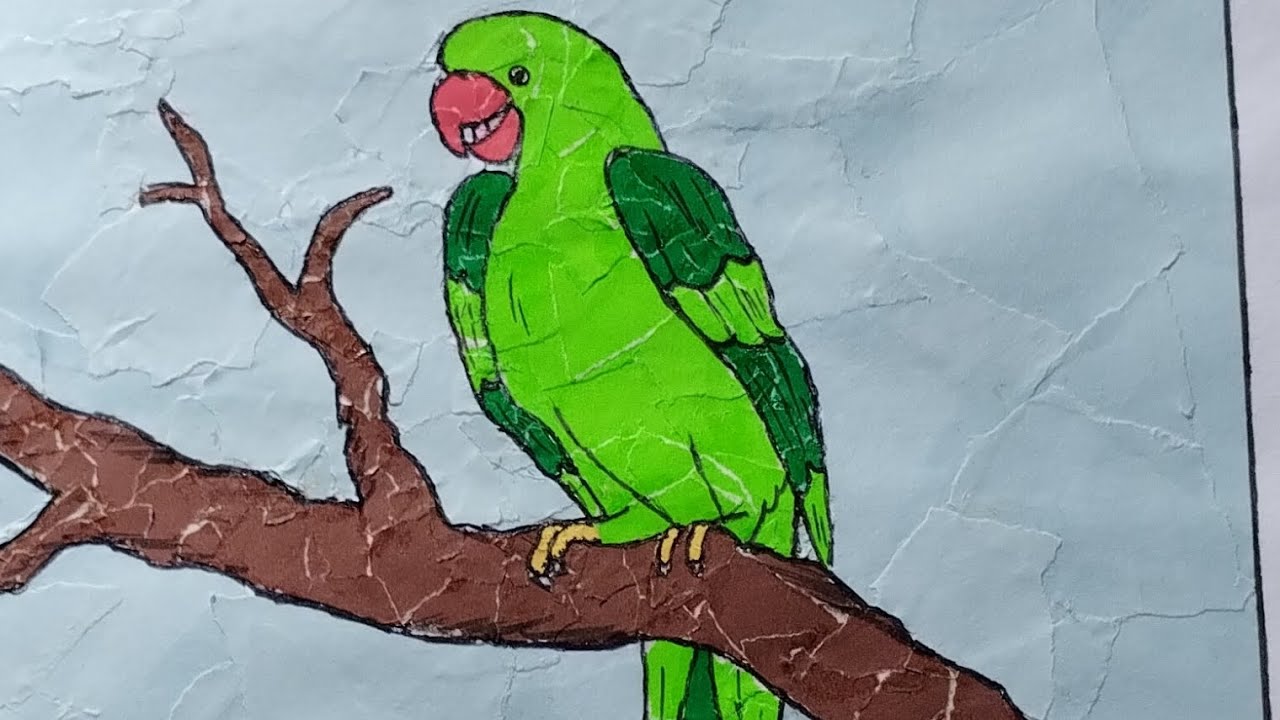 Bird collage art | Parrot collage art | Paper collage art | - YouTube