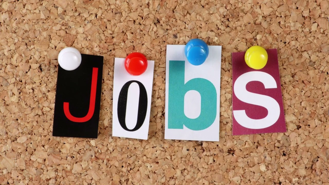 Back to School Employment Laws - YouTube