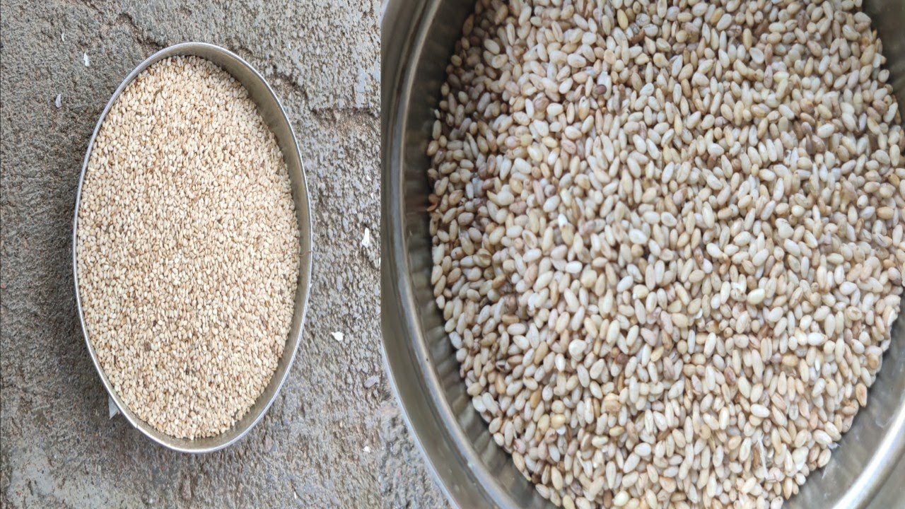 నువ్వులు గలిచాడము ఎలా? How to Clean Sesame Seeds ?/నువ్వులు ఎలా శుభ్రం ...