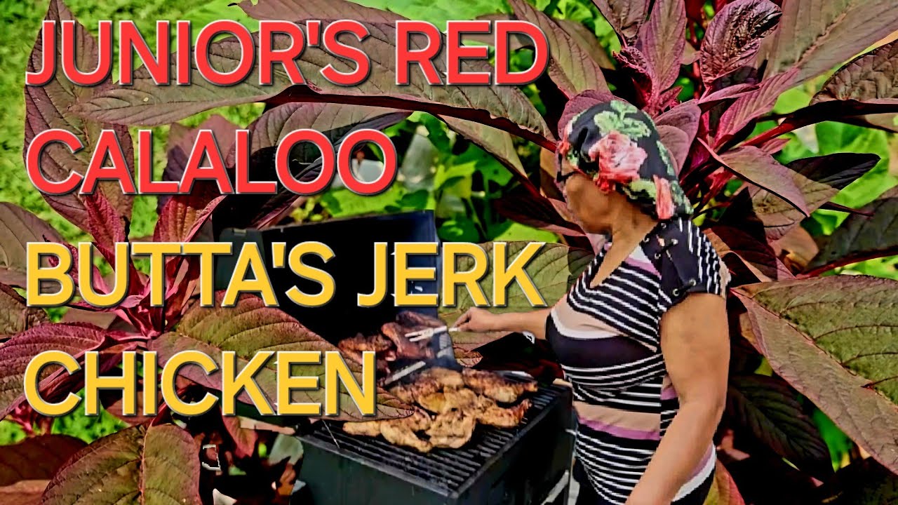 Junior adventure TV Red Calaloo and Butta's jerk chicken - YouTube