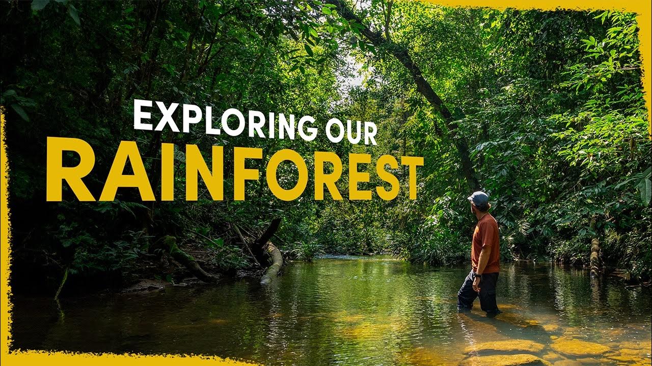 Exploring the land we bought in the Amazon Rainforest - YouTube