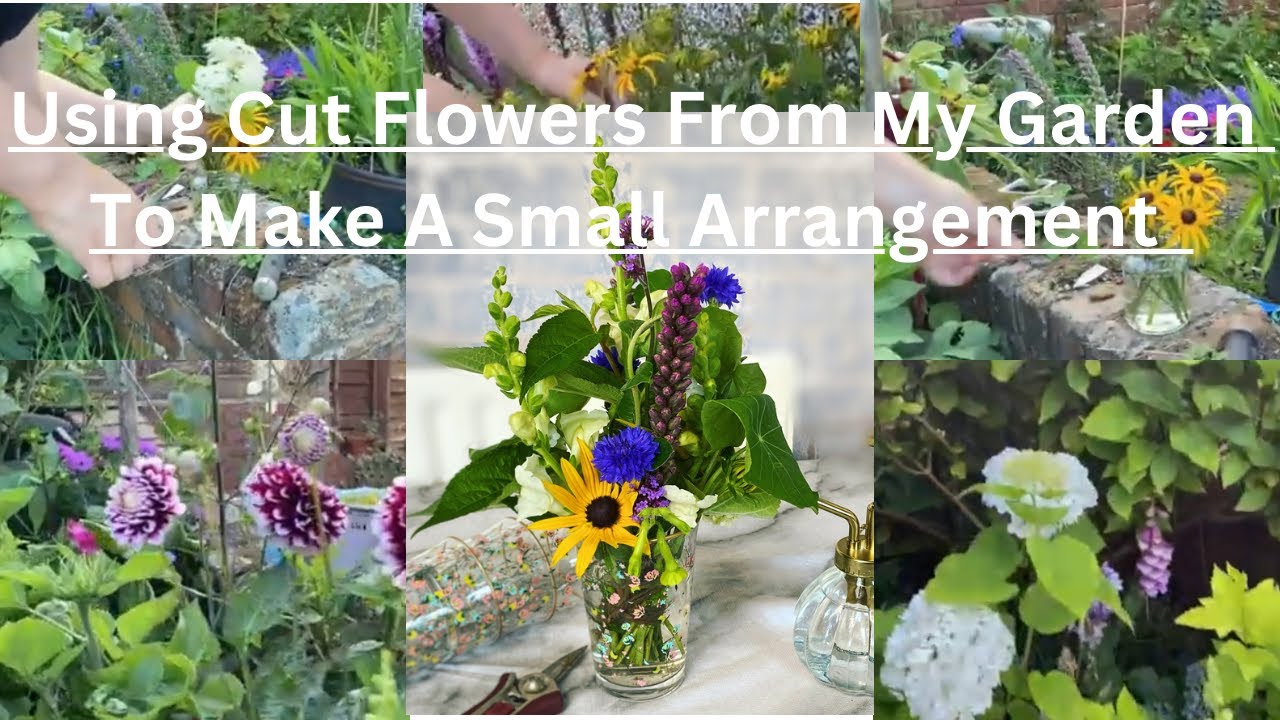 Cutting/Arranging Flowers from My July Garden For 30 Stem Challenge ...