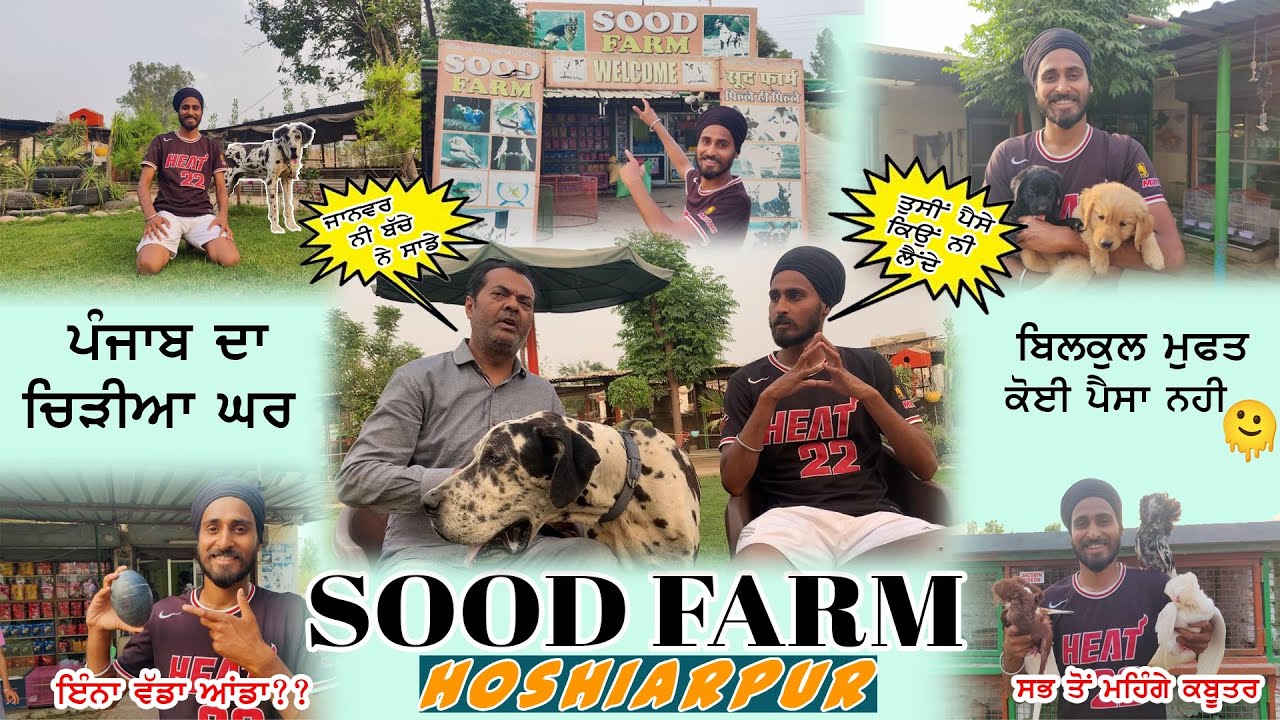 Sood Farm Hoshiarpur || Free Of Cost Zoo || Hoshiarpur Zoo || Pets ...