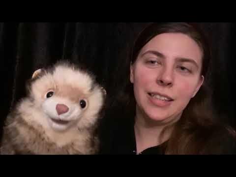 Puppet interview - YouTube