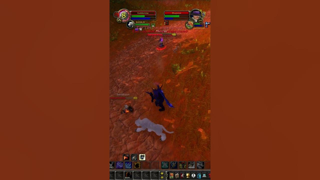 Hunter Vs Magewarrior Endgame Pvp Wow Classic Era Youtube