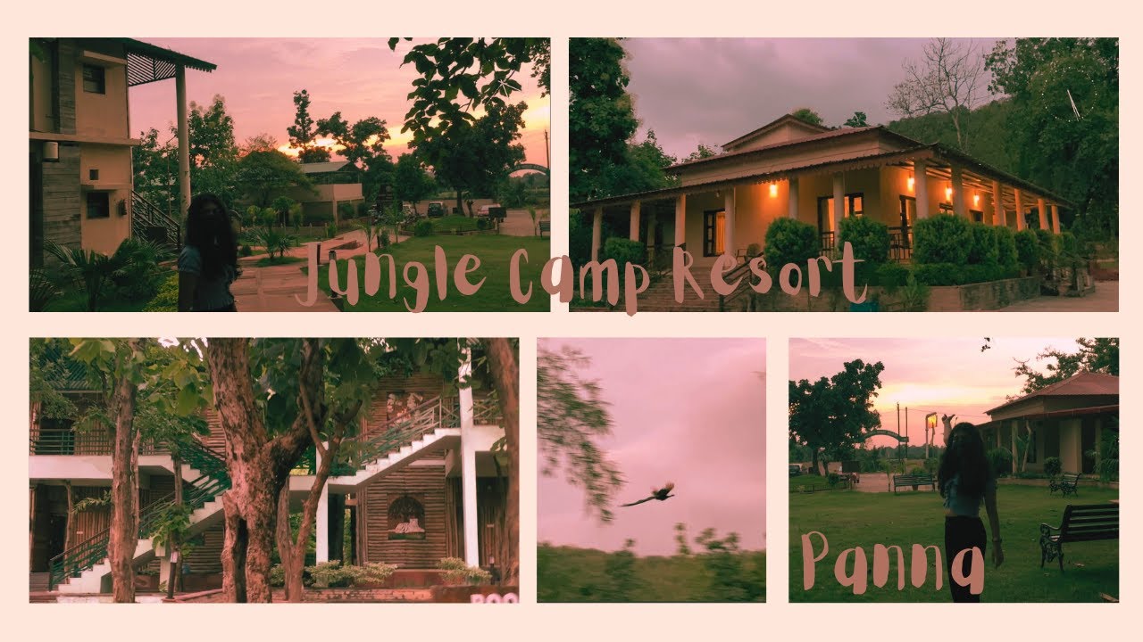 Jungle Camp Resort Madla (Panna) || Panna Khajuraho trip Part 1 - YouTube