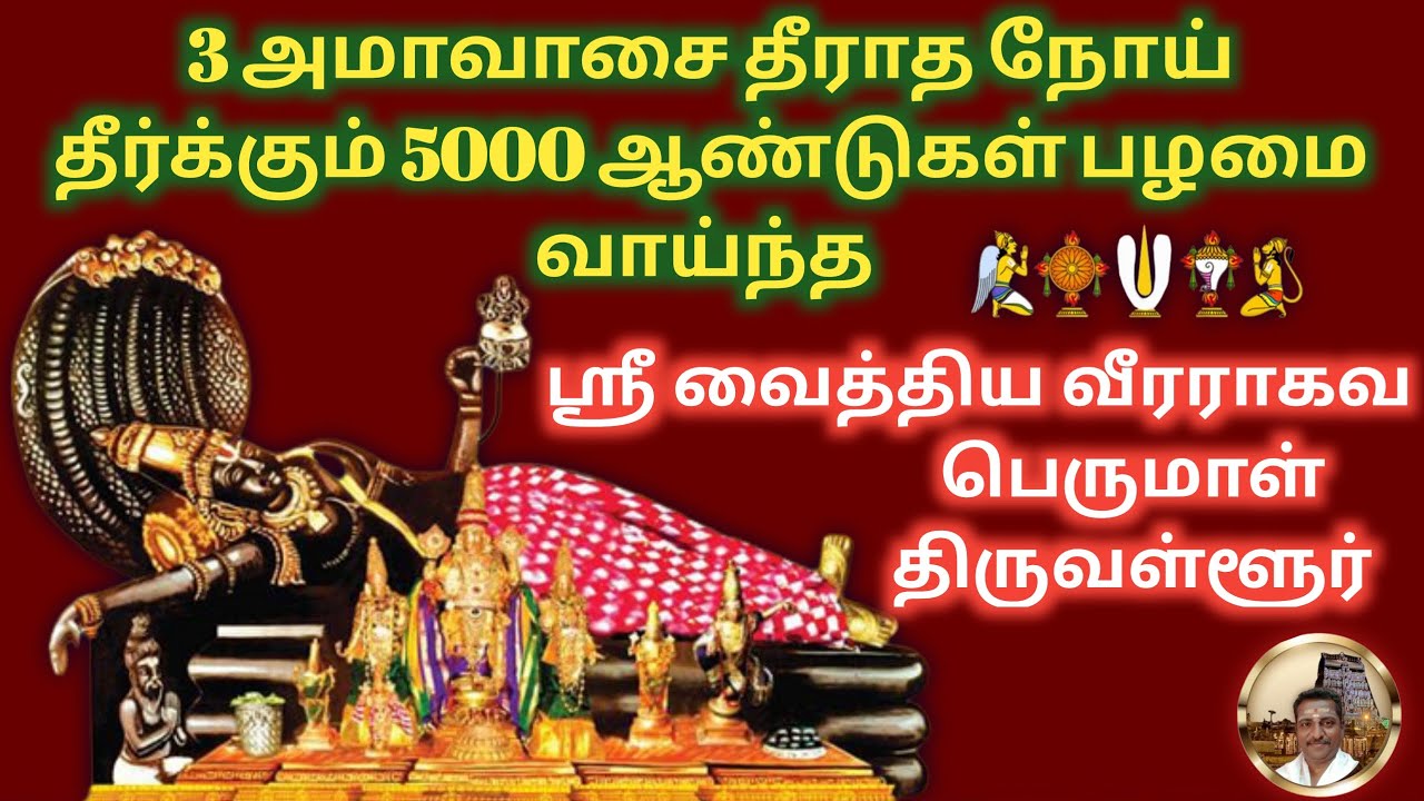 "Amavasya Special: Divine Rituals at Tiruvallur Veera Raghava Perumal ...