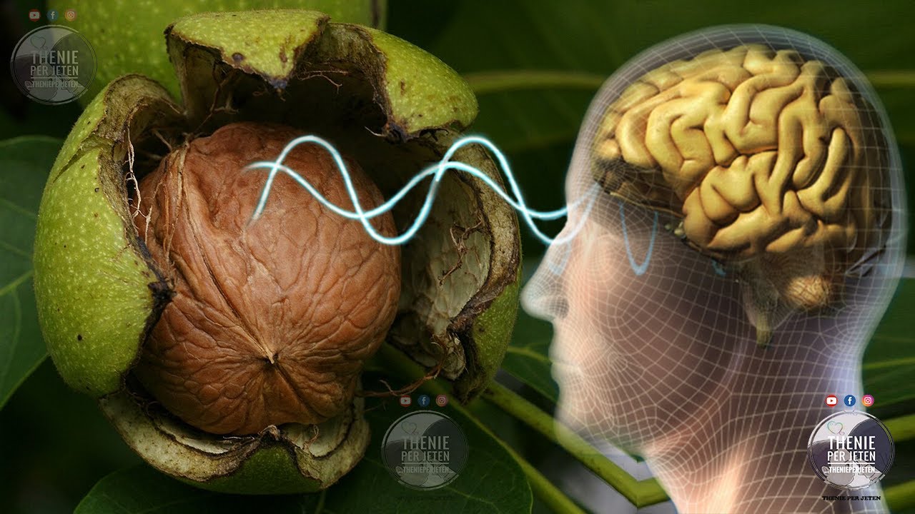 Hëngri esëll 8 kokrra arra për një vit, ja se çfarë i ndodhi më vonë ...