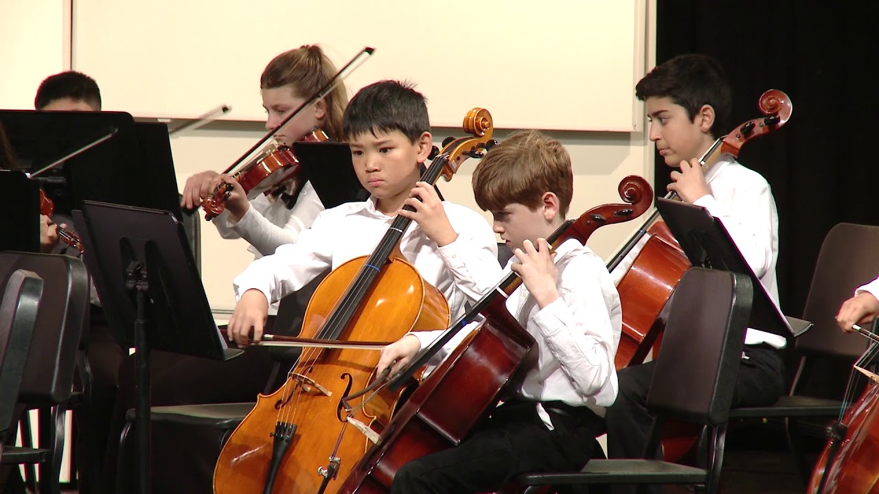 Chamber Orchestra performs Moonlight Tango - YouTube