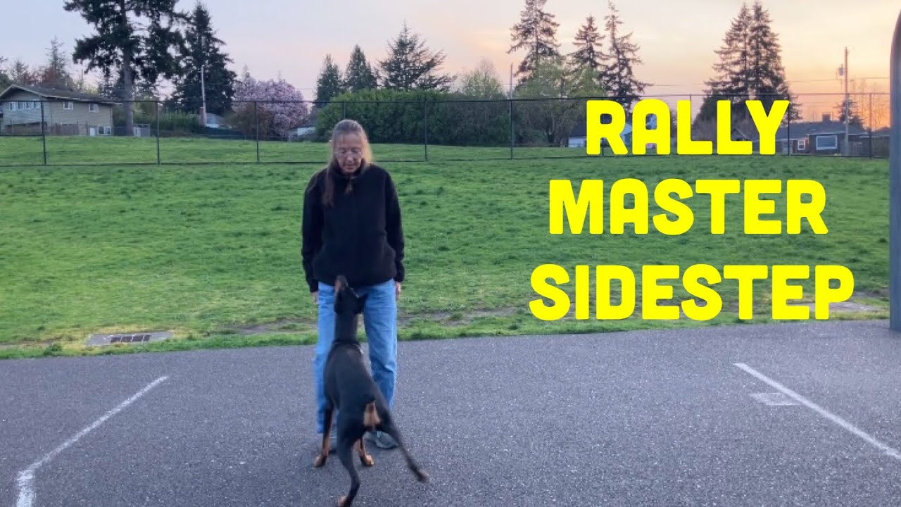 How to Train Rally Master Call Front Side Step Signs 304 & 305 - YouTube