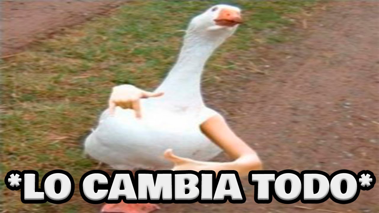 *lo cambia todo* XD - YouTube