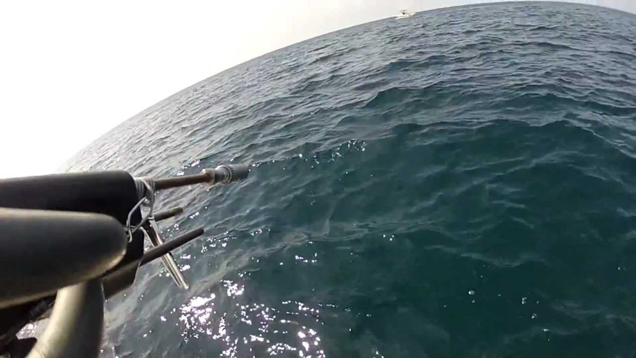 Scuba Tiger diving 2012 - YouTube