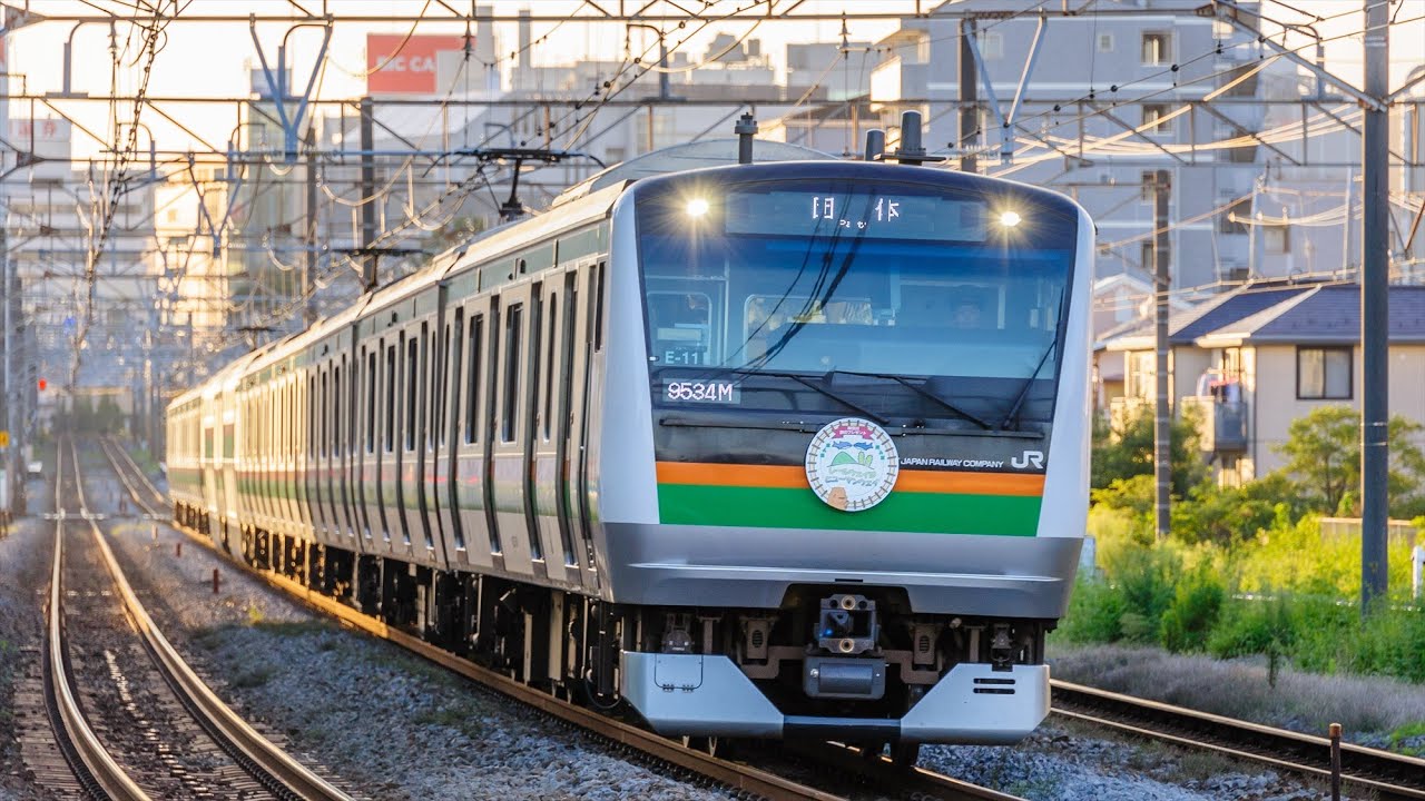 JR東日本 E233系3000番台 E11編成 「2015神奈川旅のプレゼント号」ヘッドマーク付き 単1782レ併走 ＠藤沢～大船 - YouTube