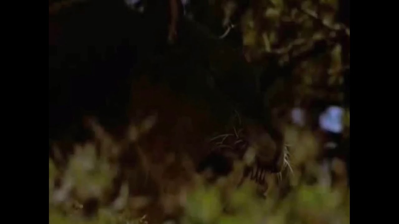 Sabertooth (2002) Part 5 - YouTube