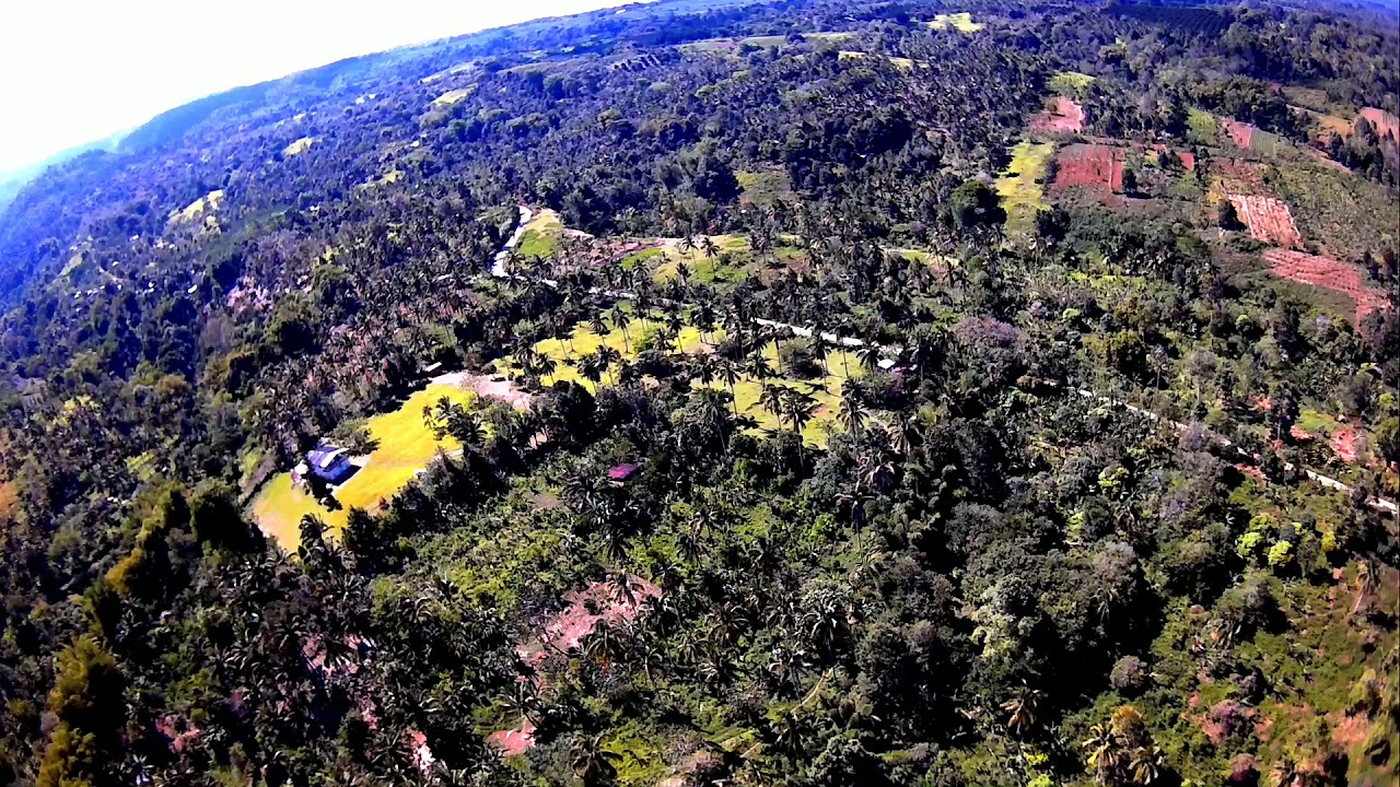 Phoneshop @Eden Tagurano - YouTube