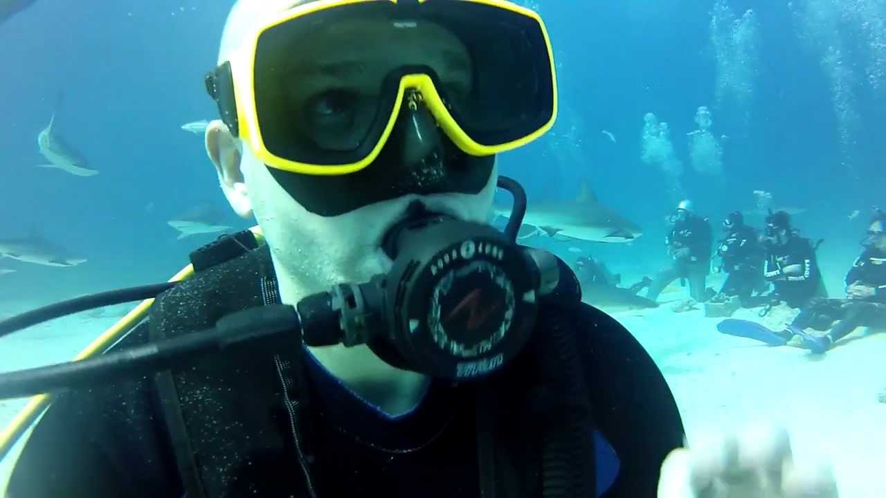 Stuart Cove Shark Diving, Nassau Bahamas - YouTube