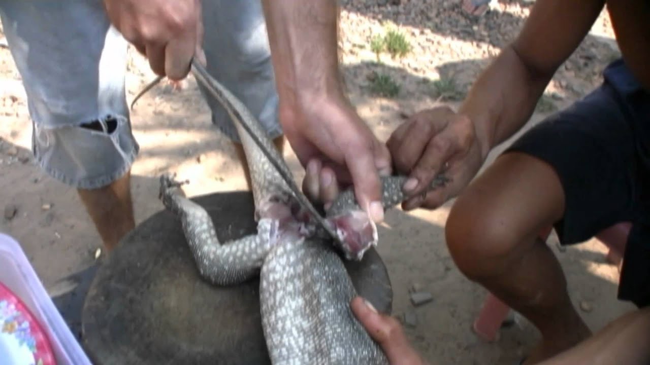 Cooking Lizard Don Det Laos Without Borders - YouTube