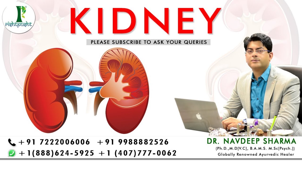 (Live) Ayurvedic Treatment of Kidney | Dr Navdeep Sharma - YouTube