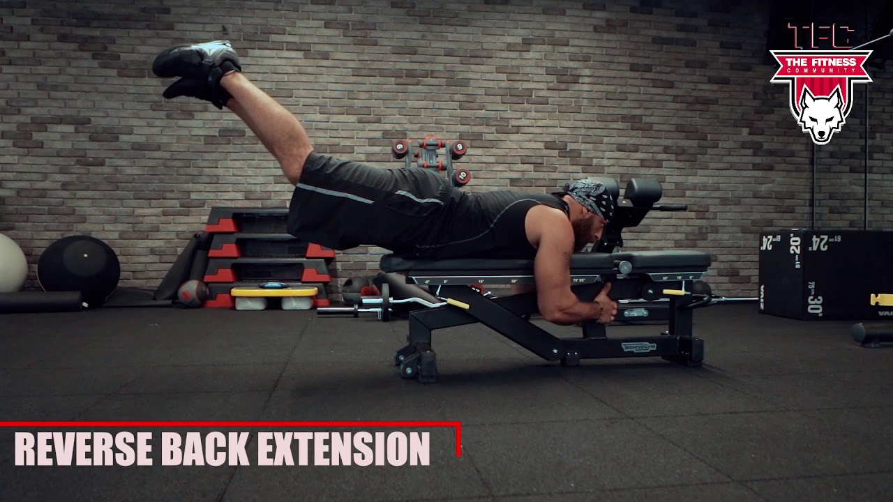 Reverse back extension - YouTube