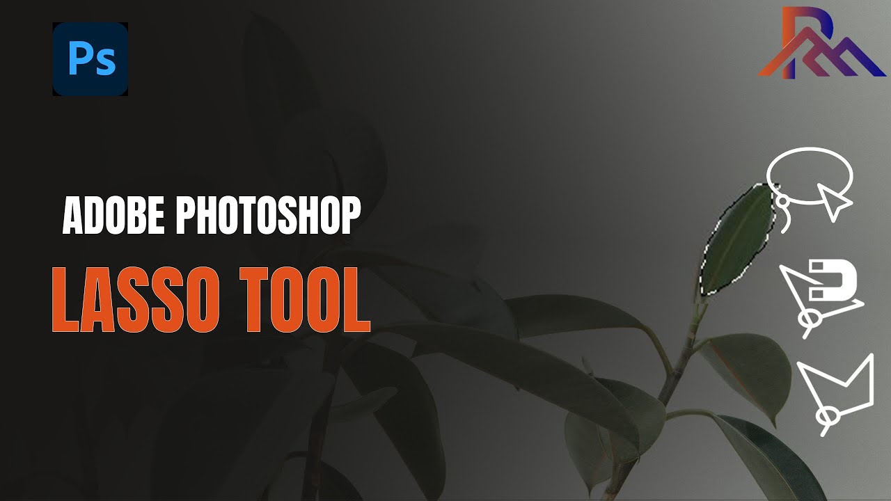 Learn Creative Selections Made Easy: Lasso Tool - YouTube
