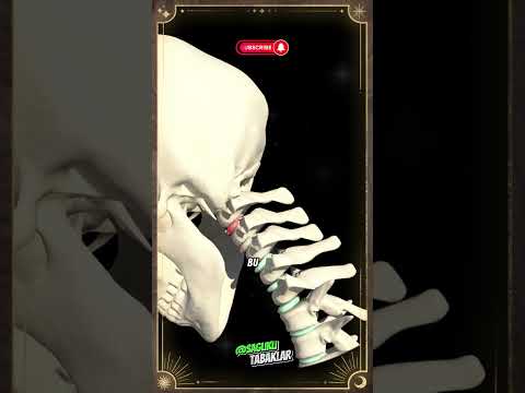 Kaza Anında Boyunda Kırbaç Etkisi: Belirtiler ve Etkileri