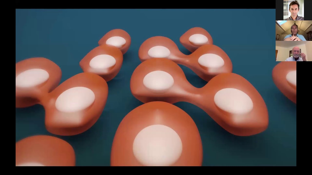 CSAR Webinar 27th April 2020. Professor Mark Post: From Medecine to ...