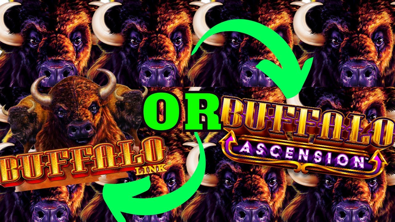 Let's Play $2,500 On Two BUFFALO SLOT Machines - YouTube