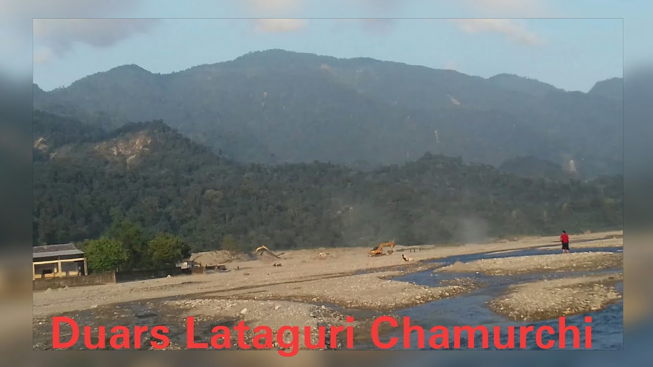 Duars short trip/Lataguri trip/Chamurchi trip/North Bengal beautiful ...