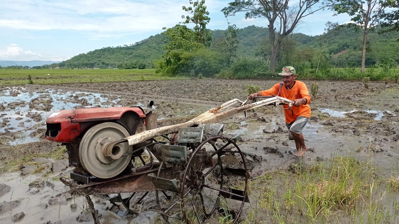 TRAKTOR SAWAH MEMBAJAK DI TENGAH SAWAH DENGAN SANTAI, PEMANDANGAN ...