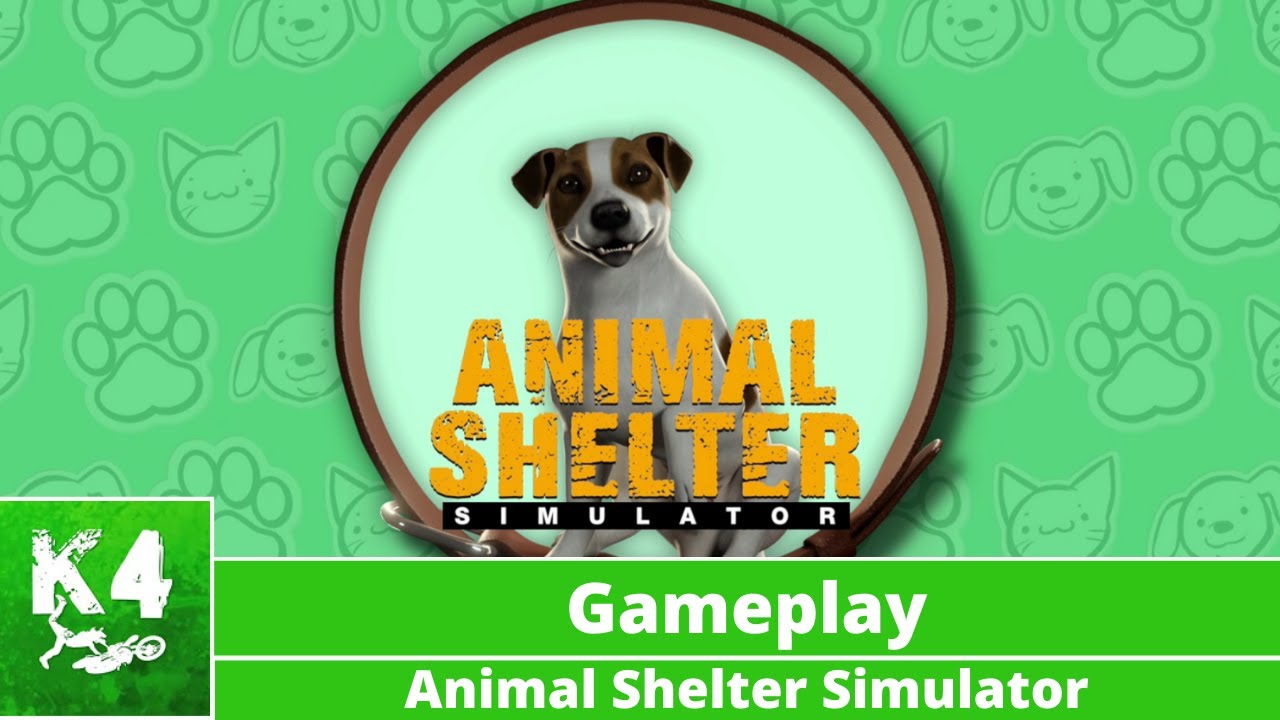 Animal Shelter Simulator - Gameplay on Xbox Series X - YouTube